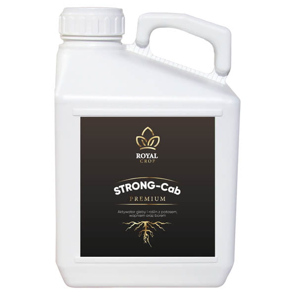 RC Strong CaB 5L - cena, opinie | superplony.pl