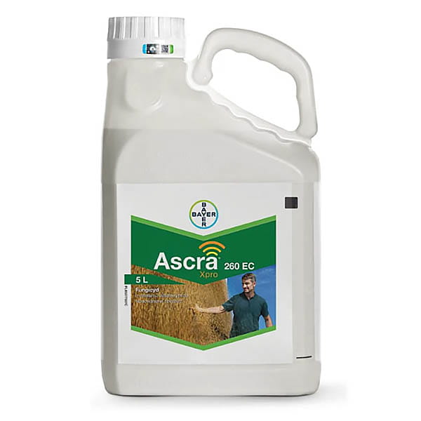 Ascra Xpro 260 EC 5L - cena, opinie | superplony.pl
